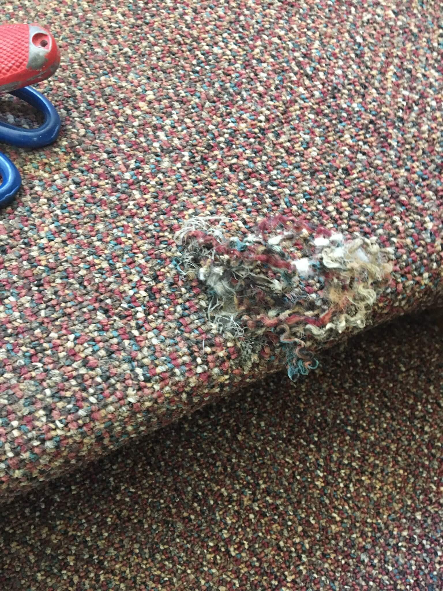Carpet Advantage